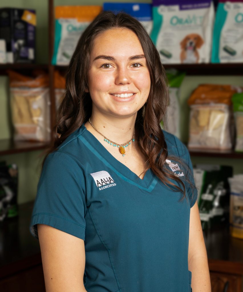 Meet the Team – Idaho Veterinary Hospital