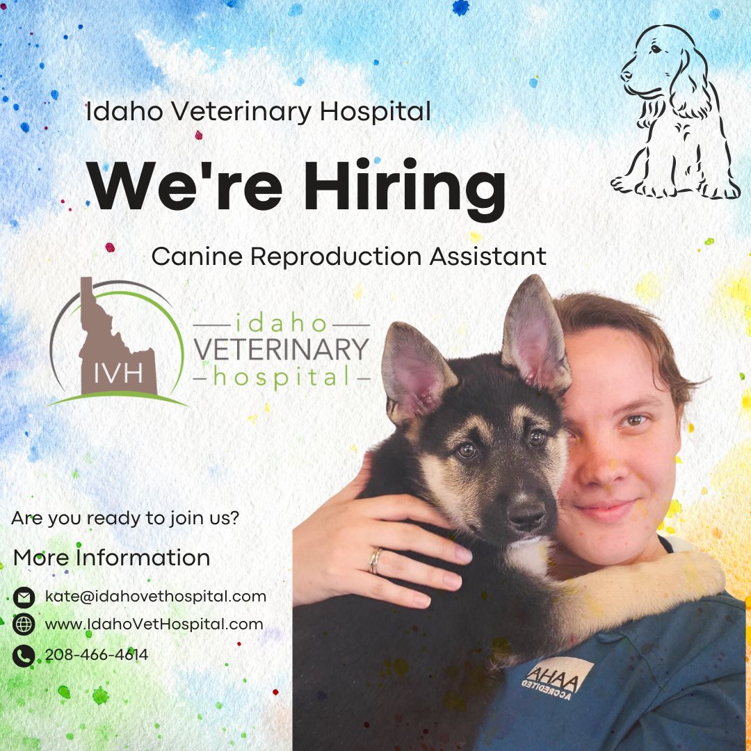 Wanted: Canine Reproduction Assistant! – Idaho Veterinary Hospital
